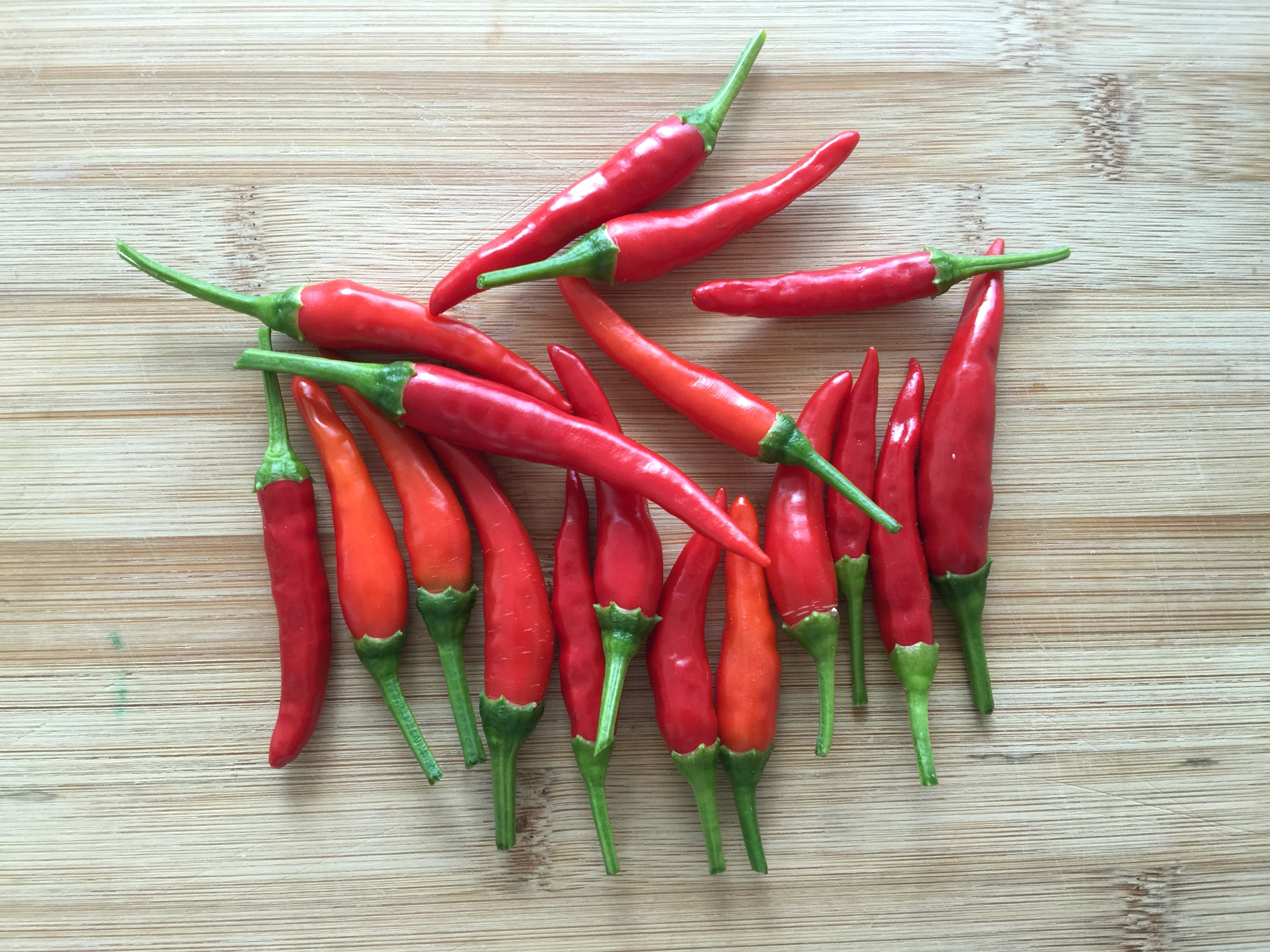 Adragonchef – A Dragon Chef